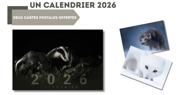 Calendrier 2026 | Ananda Joinet