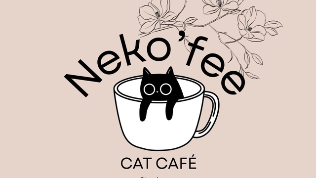Aidez-moi à ouvrir mon bar à chats sur Strasbourg ! 🐾☕️