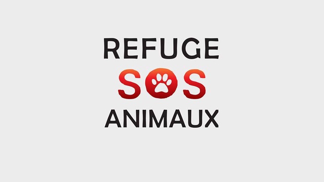 Animaux refuge en danger