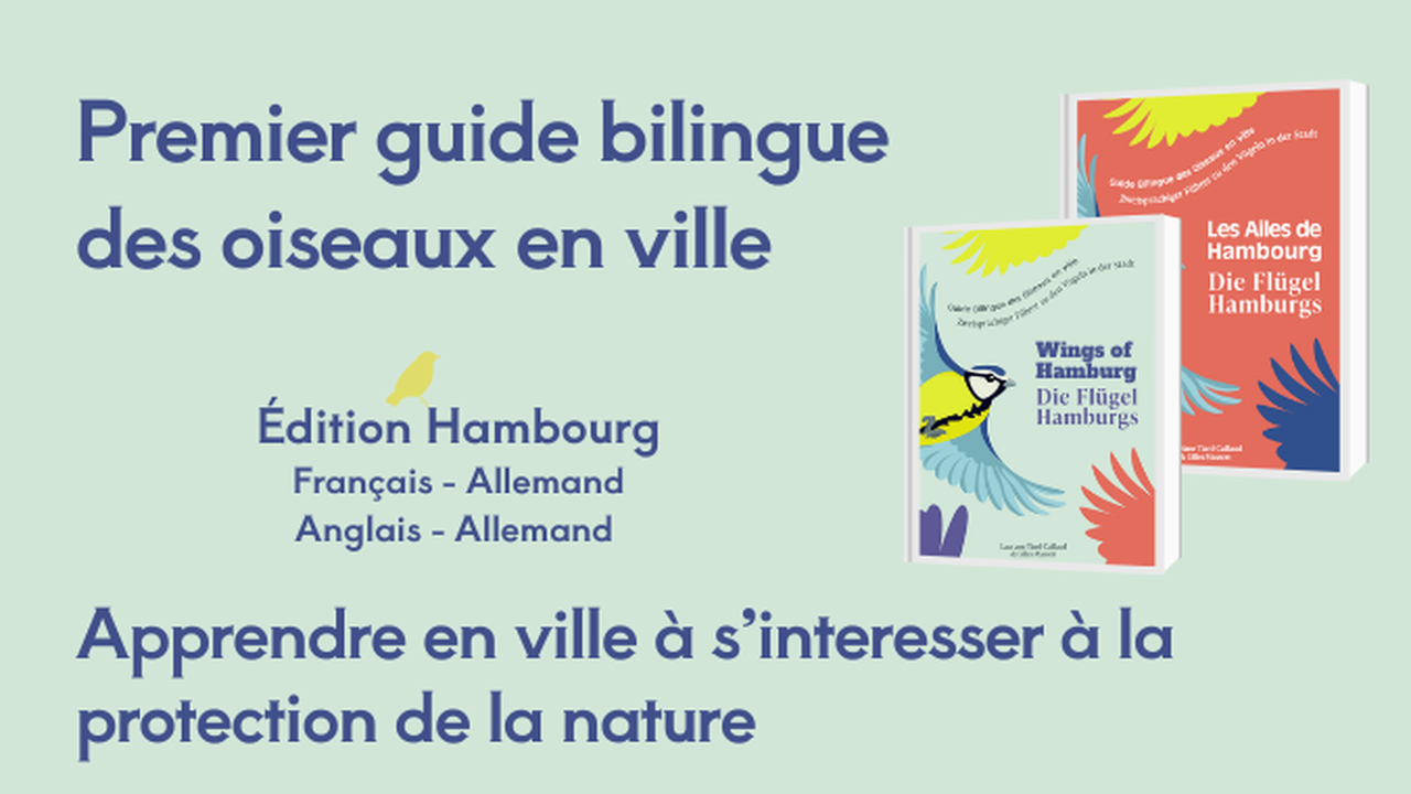 Premier guide bilingue des oiseaux en ville - Ulule