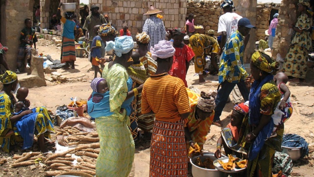 Projet d'aviculture au pays Dogon