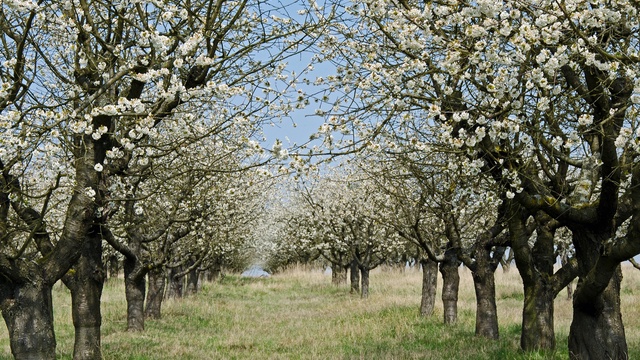 CATHY MEUNIER - Ulule