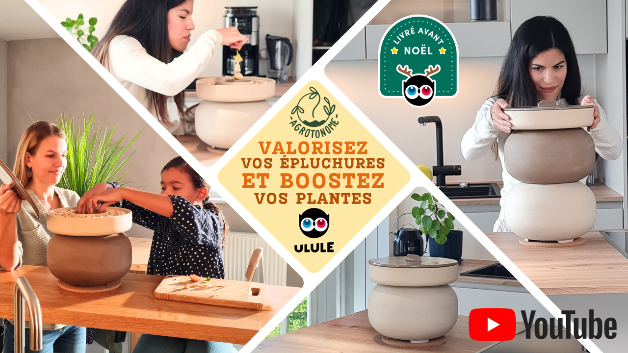 Compost'In, le composteur d'intérieur design et sans odeur - Ulule