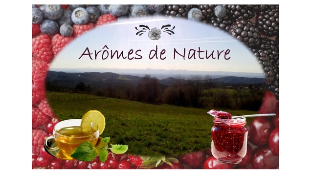 pascal carrere - Ulule