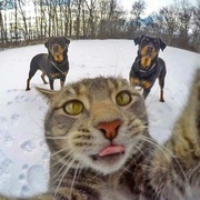 Stéphane MORIN - Ulule