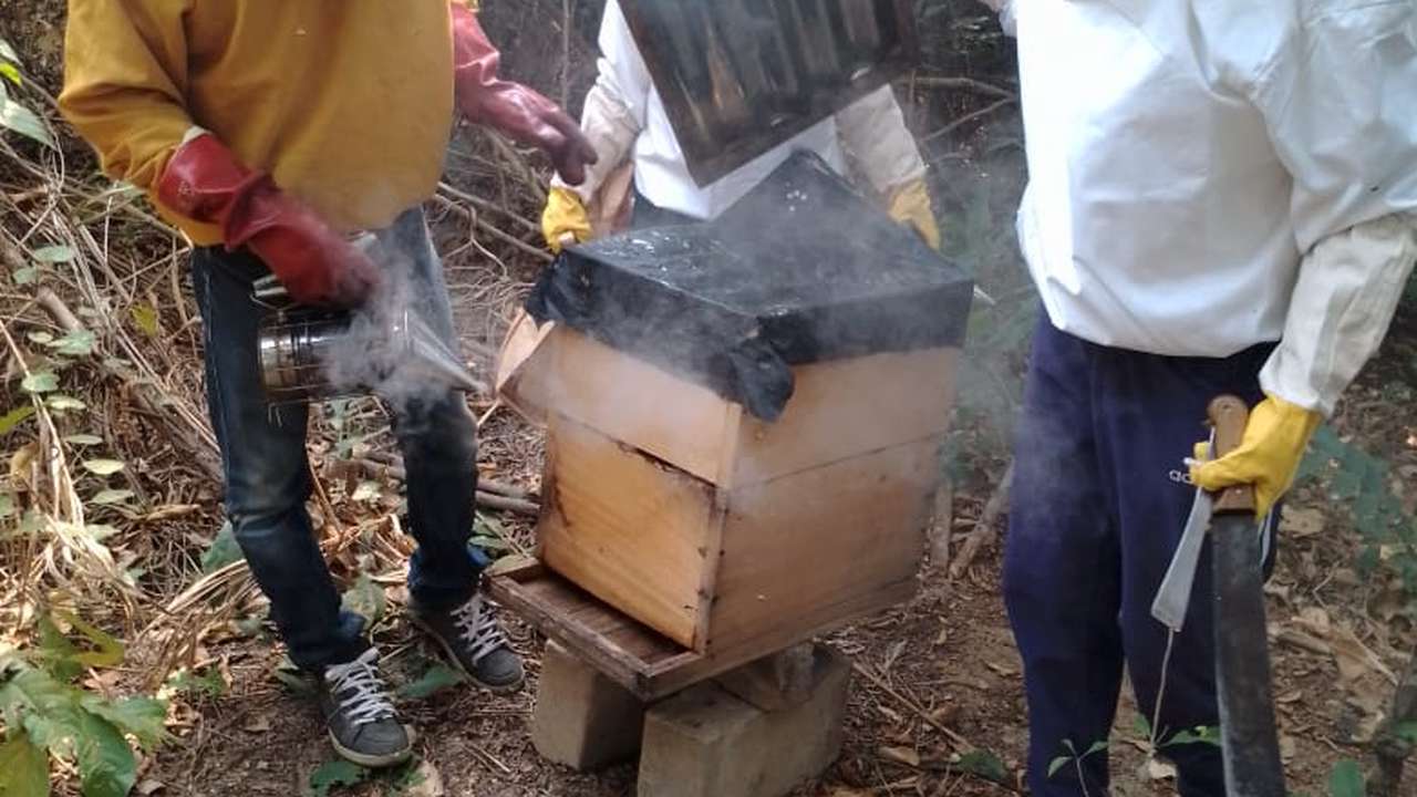 Financement du matériels d'élevage et d'agriculture