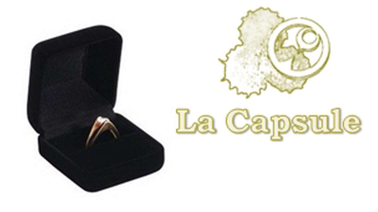 La Capsule bijoux Geek