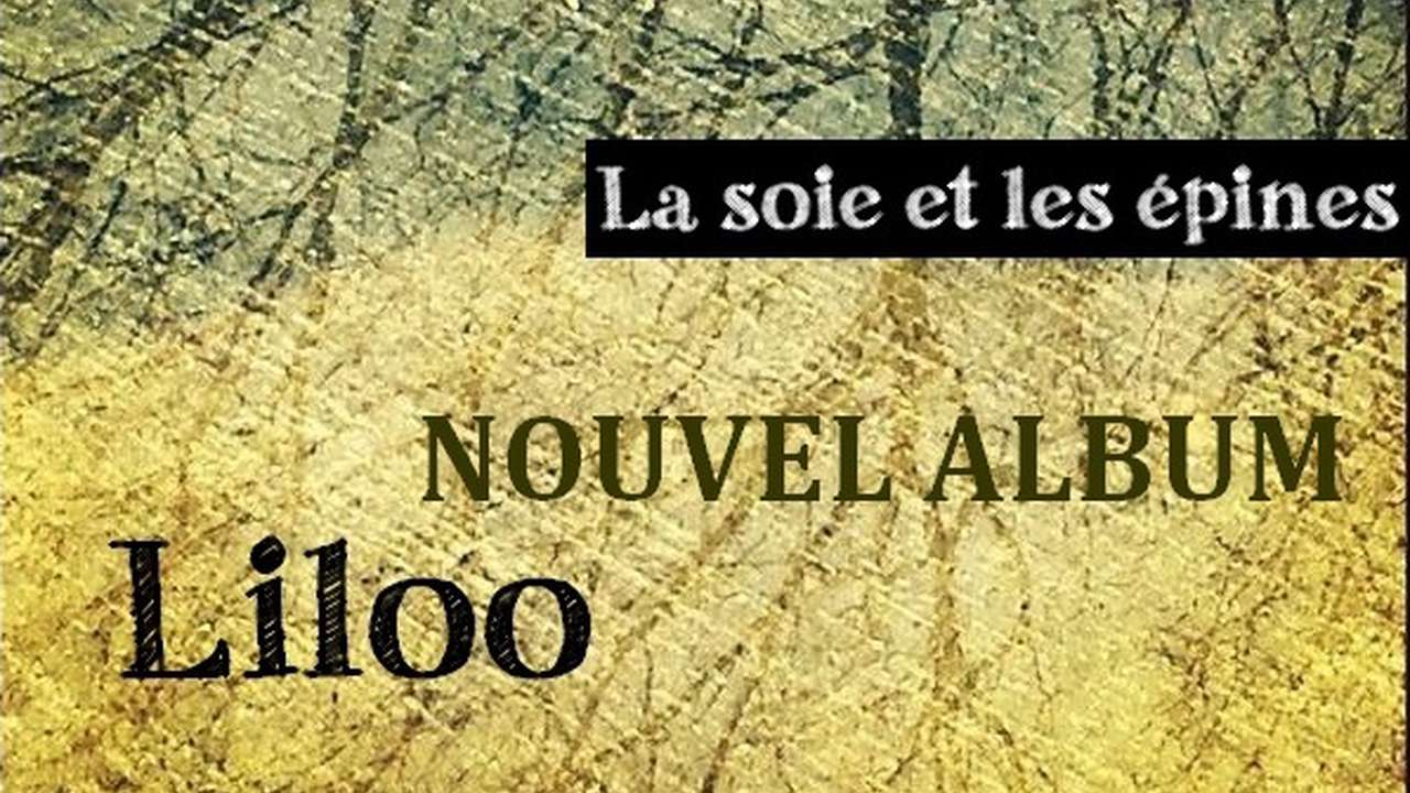 Liloo : un 4ème album en 2017 ! - Ulule