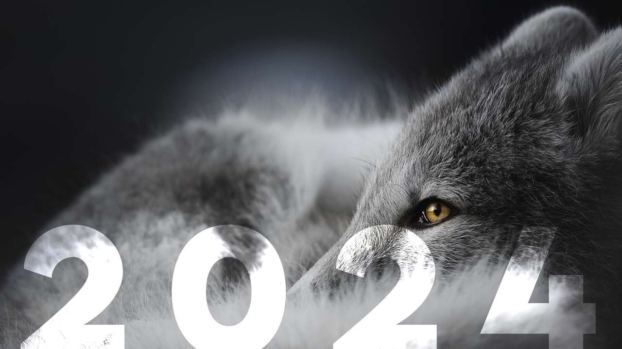 Calendrier 2024 | Ananda Joinet - Ulule