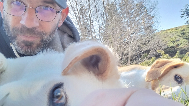 CANI'XION - Le chien au quotidien - Ulule