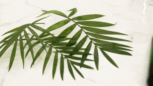 Ysis - Soins authentiques