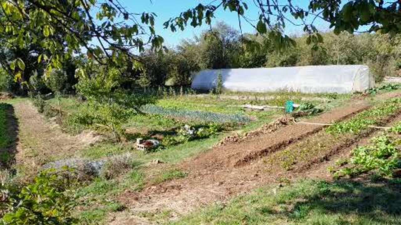 une cuve pour arroser les legumes