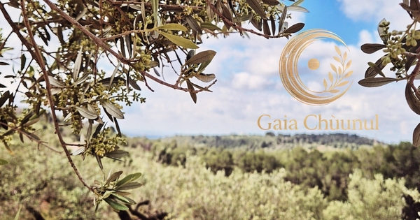 “Un lieu. Une vie. Une action.” GAIA CHÙUNUL