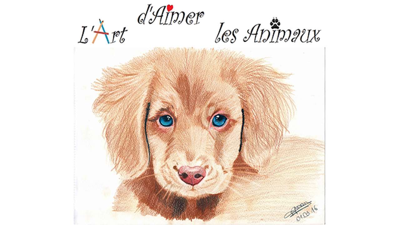 l'Art d'Aimer les Animaux