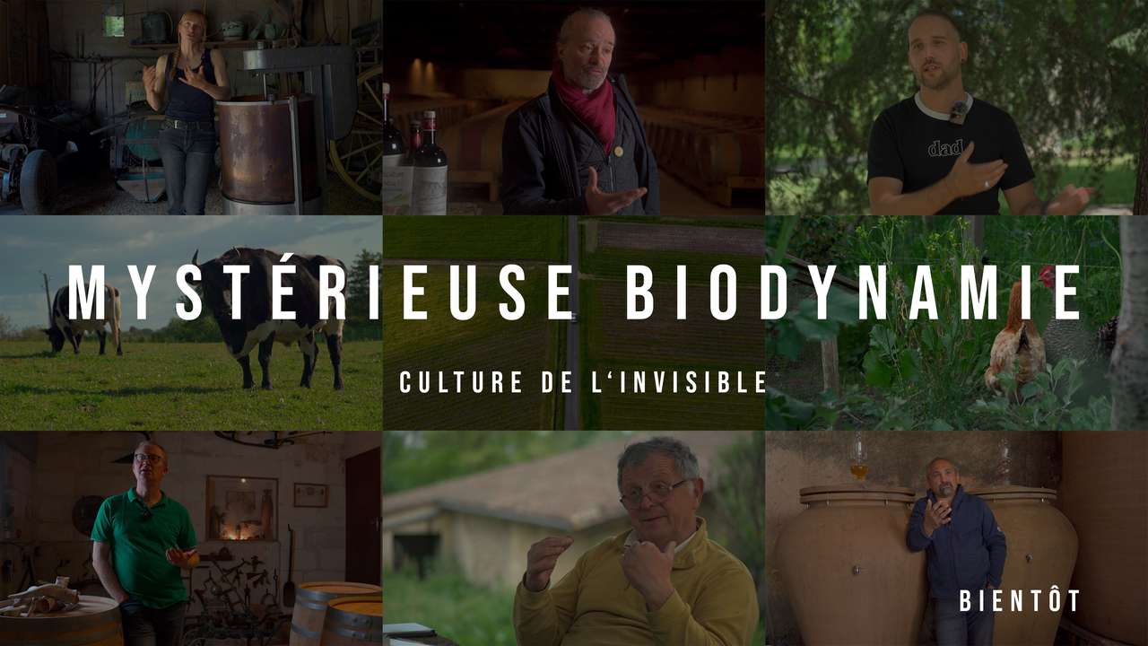 Mystérieuse biodynamie - culture de l'invisible - Ulule