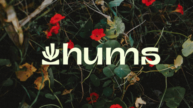hums.bio - Ulule