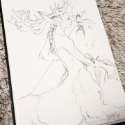 daiya-fauna - Ulule