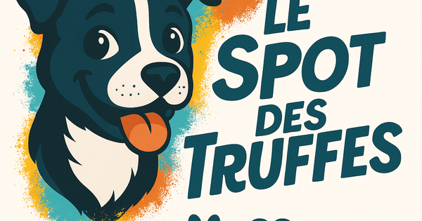 Le Spot des Truffes 🐾 – Café, parc & bien-être canin