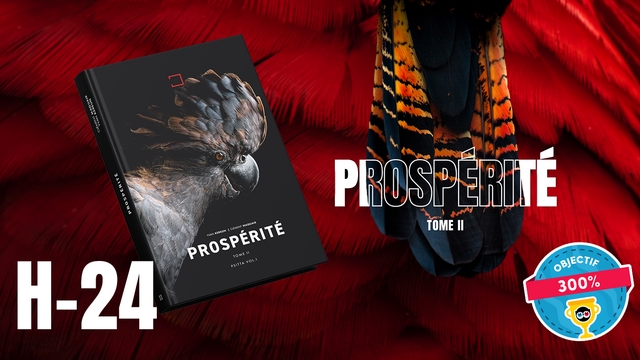PROSPÉRITÉ Tome II