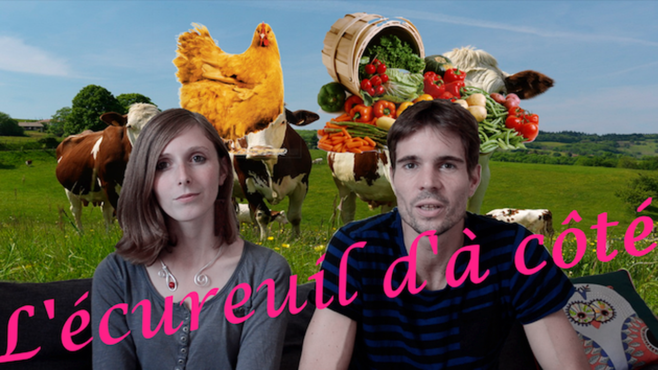 L'écureuil d'à côté