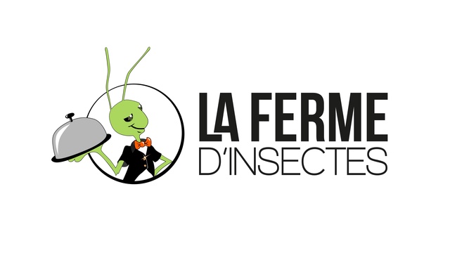 INSECTS: Yes, you CAN eat them!