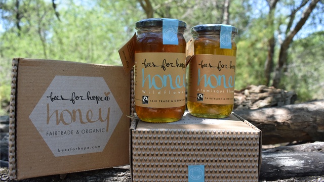 Bees For Hope - Ulule