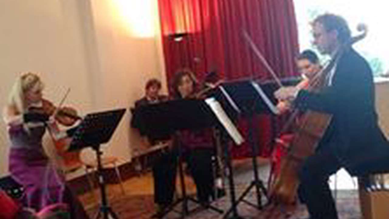 Sibelius in Ungarn
