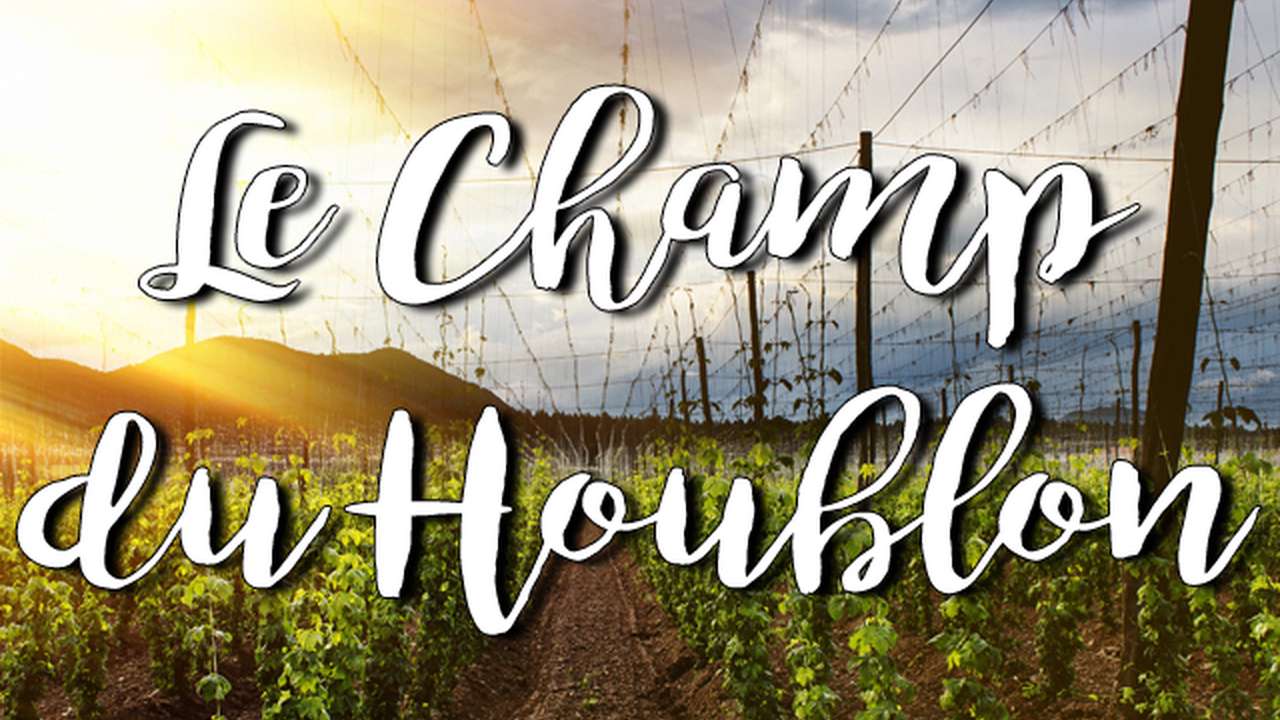 Le Champ du Houblon