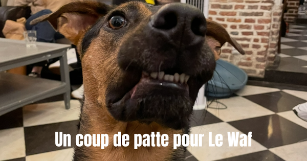 Un coup de patte pour Le Waf