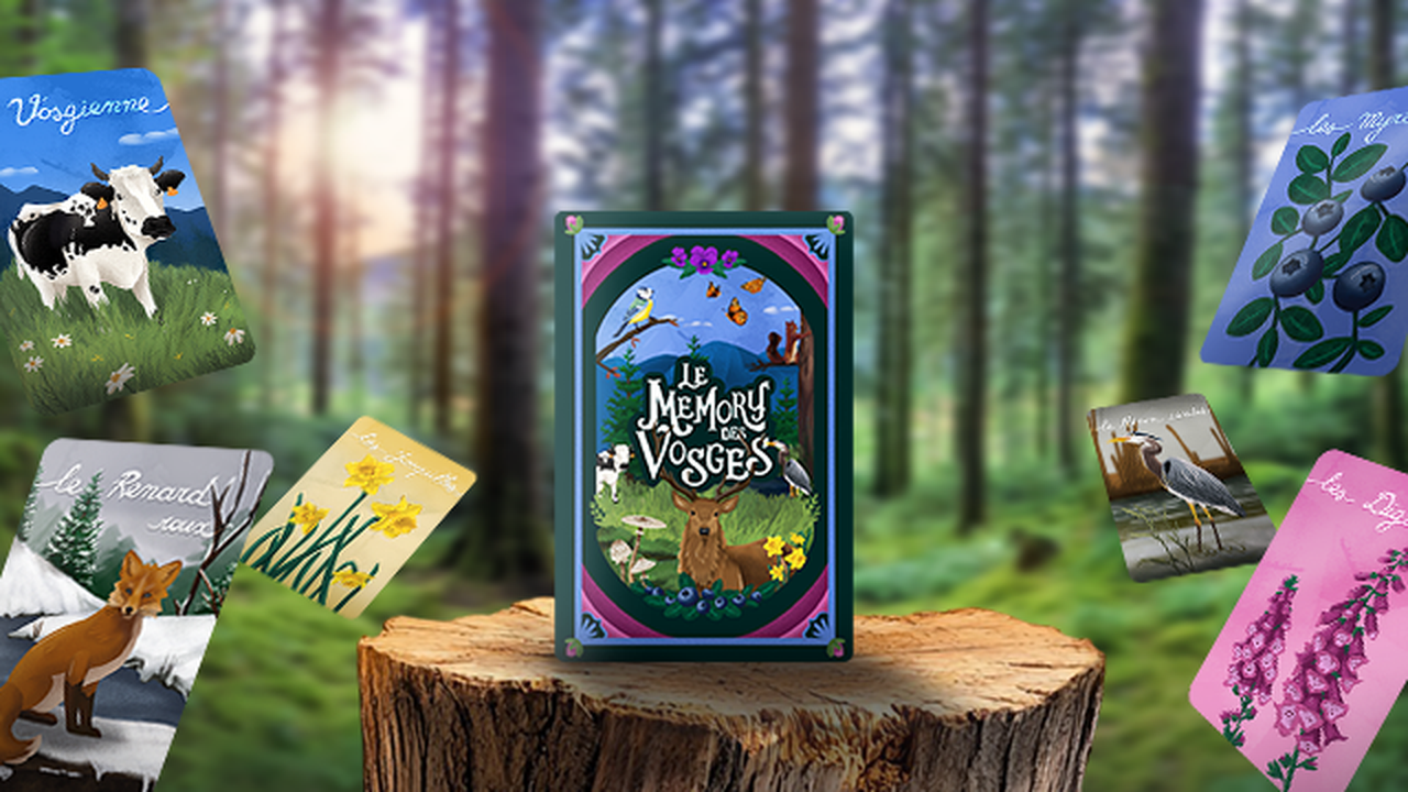 Jeu Le Memory des Vosges - Ulule