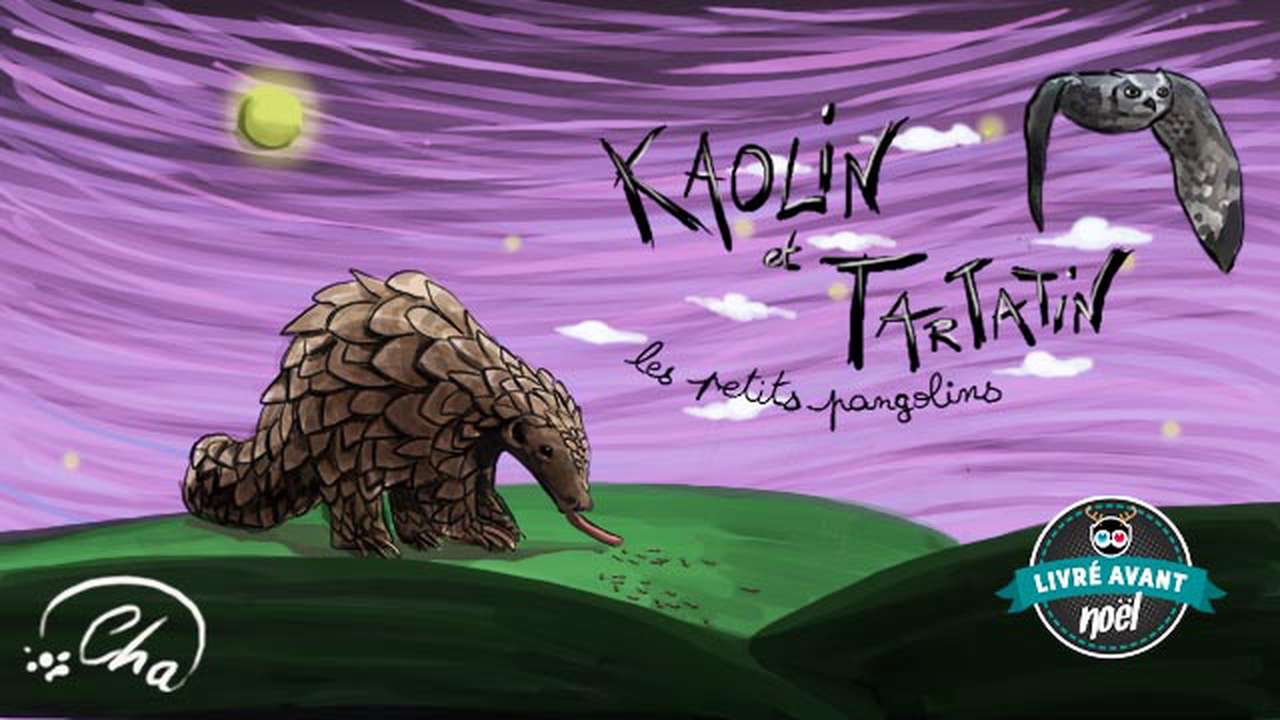 Kaolin et Tartatin, les petits pangolins - Ulule