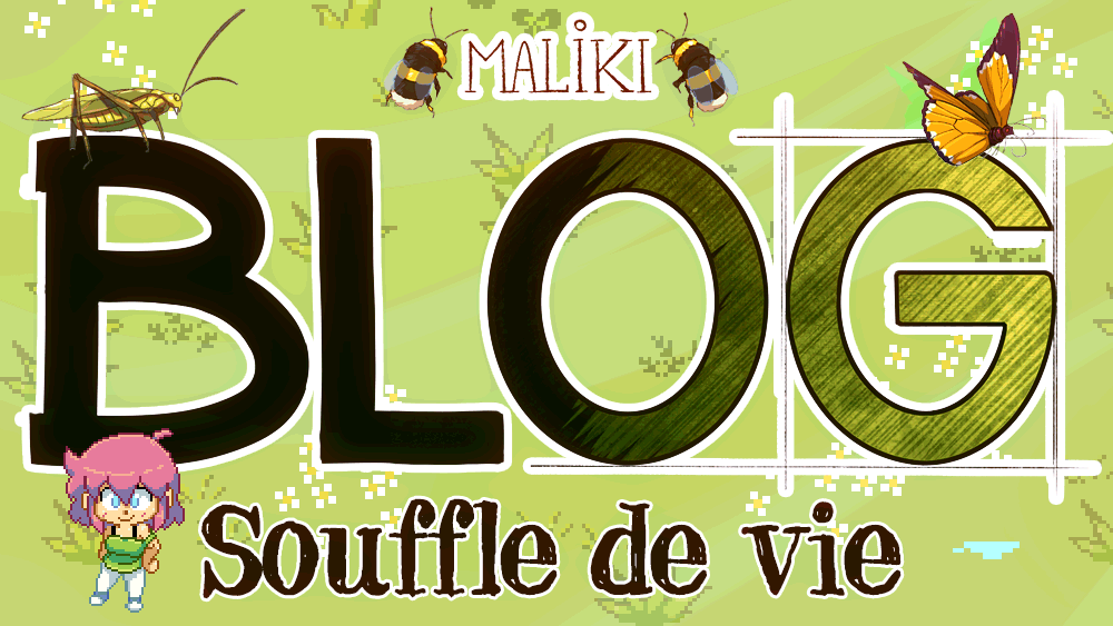 Maliki Blog - Souffle de vie - Ulule