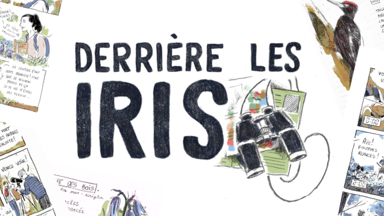 Derrière les Iris - une BD nature