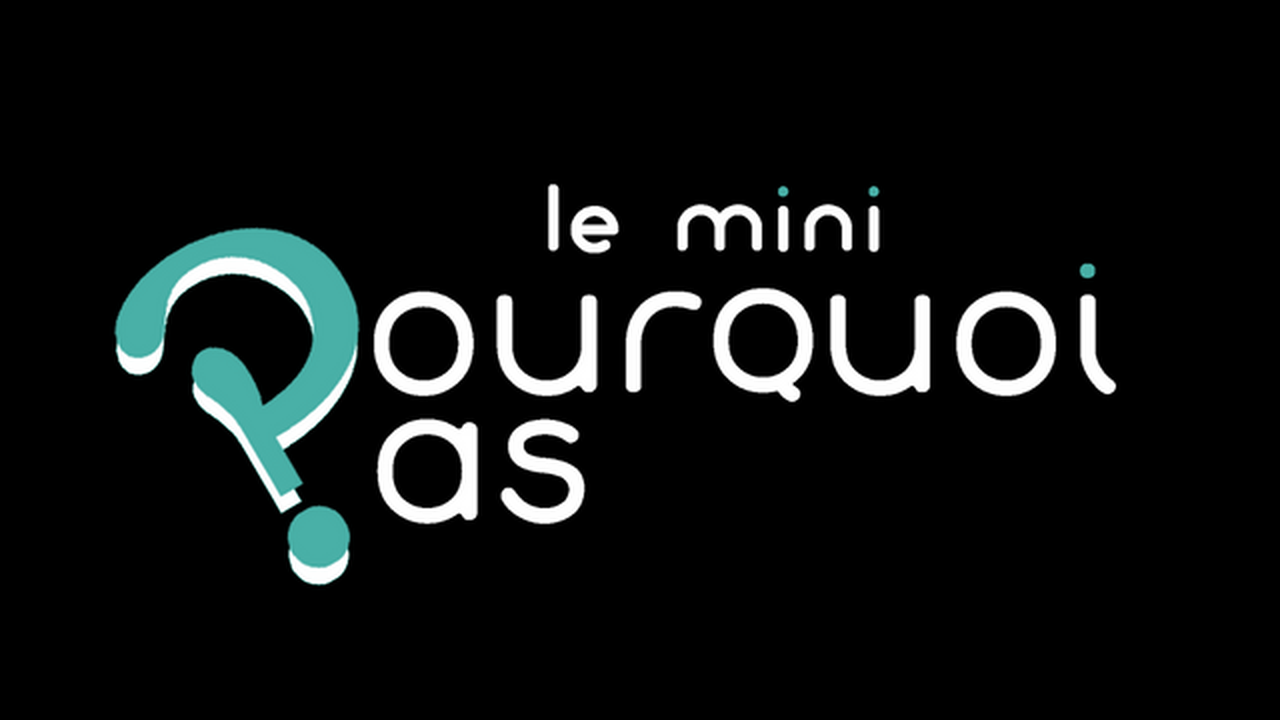 Le Mini Pourquoi Pas