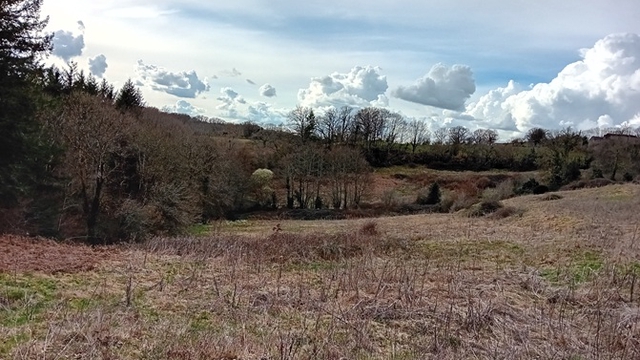 Sauvegarde d'une parcelle sauvage en Limousin - Ulule