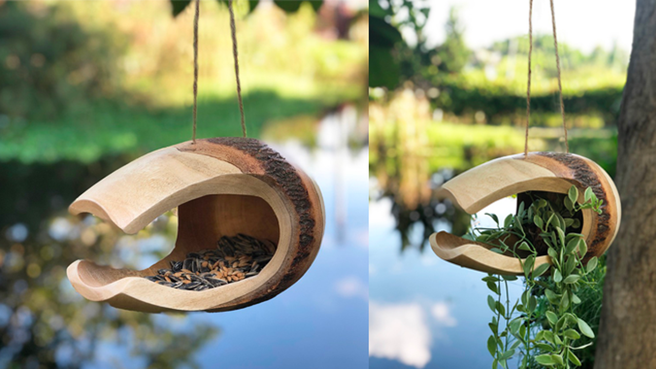 Biodiversité, jardins et mangeoires