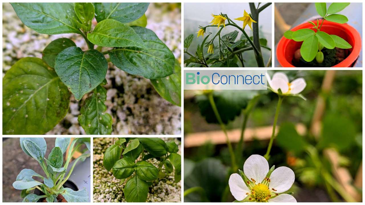 Serres hors sol autonomes et connectées