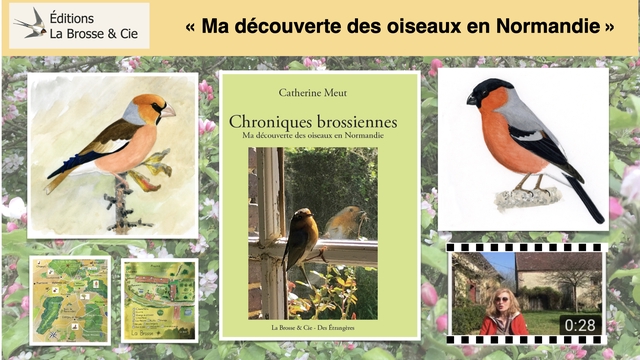 Ma découverte des oiseaux en Normandie. - Ulule