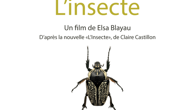 "L'insecte" - Ulule
