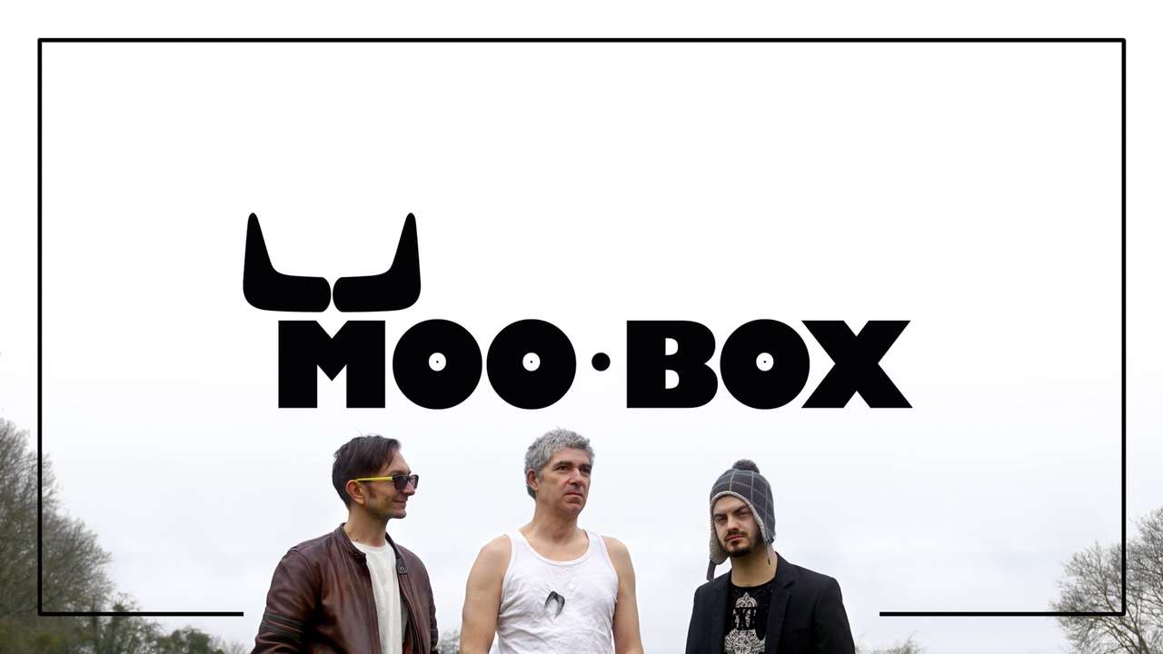 MOO BOX