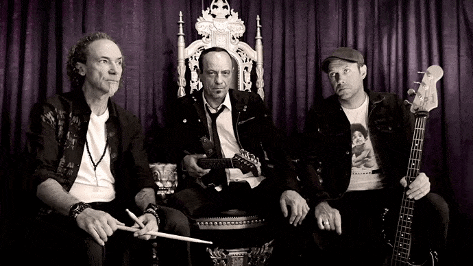 PashGang - Nuit Bleue Project 2024 - Ulule