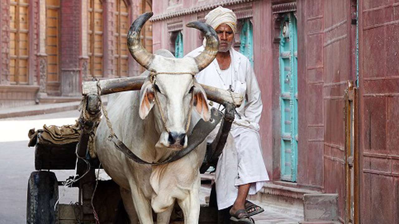 Exposition photos d'Inde - Ulule