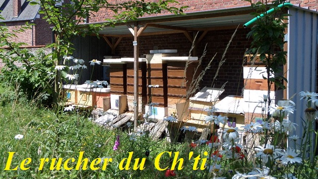 arianepradal - Ulule