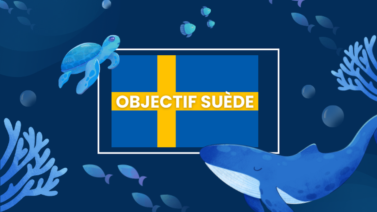 Pour une gestion plus durable des ressources maritimes