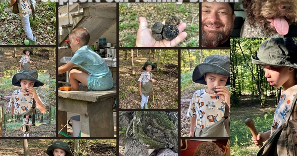 Del Bosco Balcanico – A Family Dream of Truffle Dogs