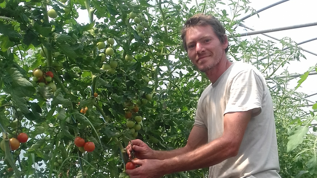 Oz le robot pour les maraîchers bio