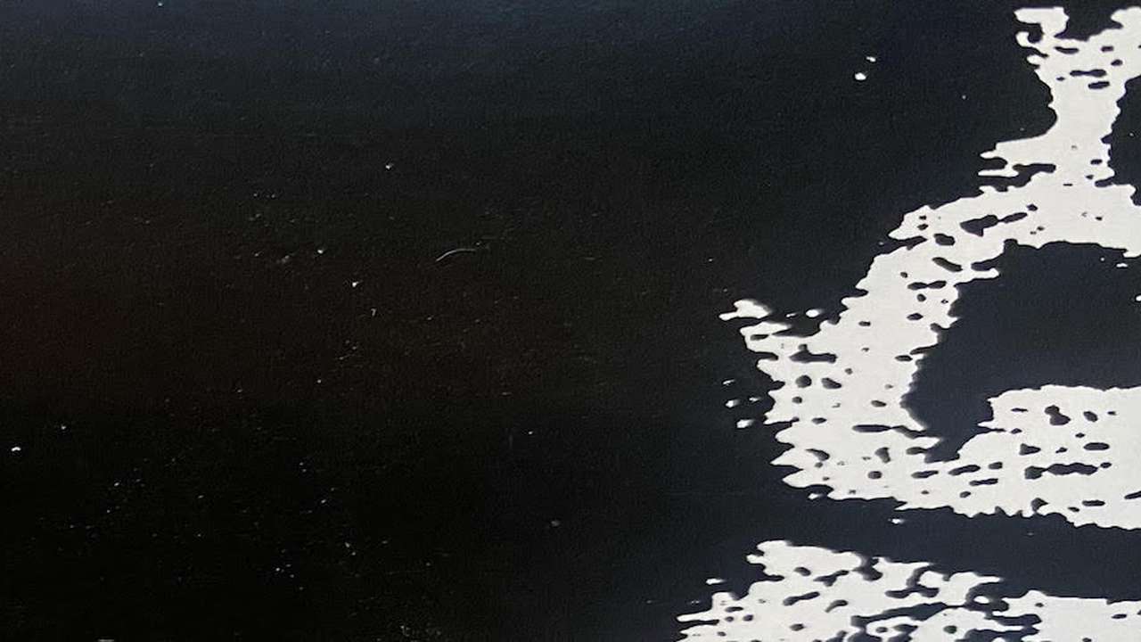 Édition en vinyle de l'album "Dog" des Baptist Generals - Ulule