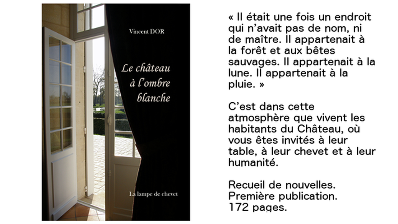 Le château à l'ombre blanche