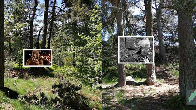 Deux jeunes photographes en forêt