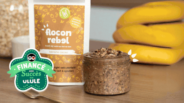 FLOCON REBEL - Ulule